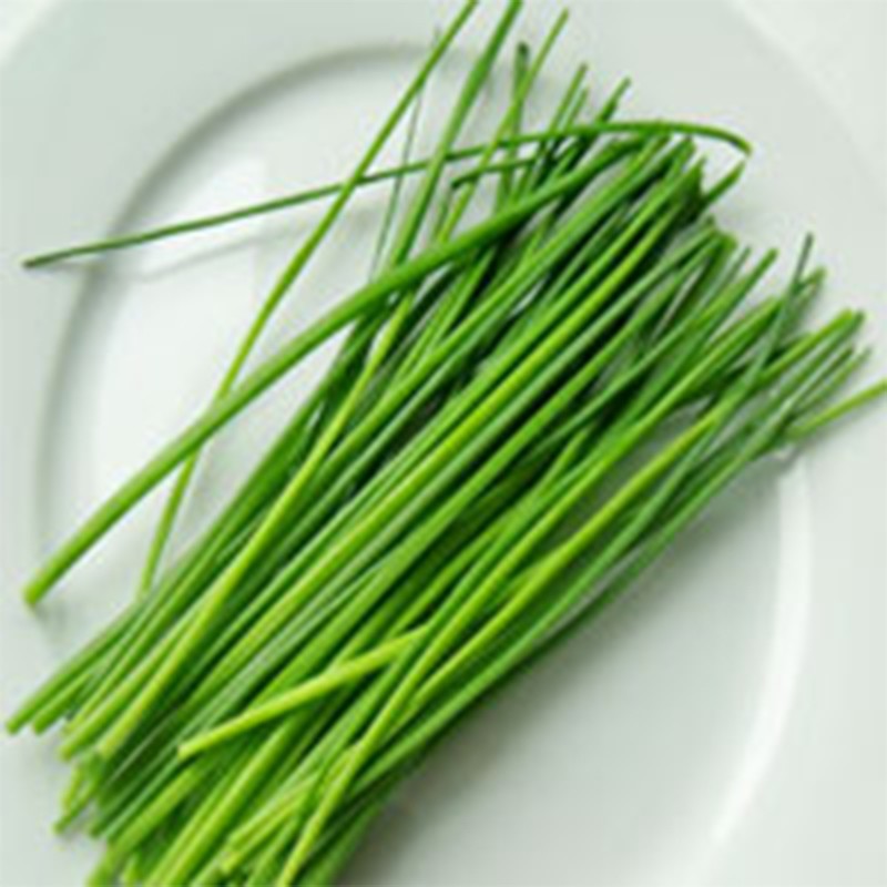CIBOULETTE SEMILLAS