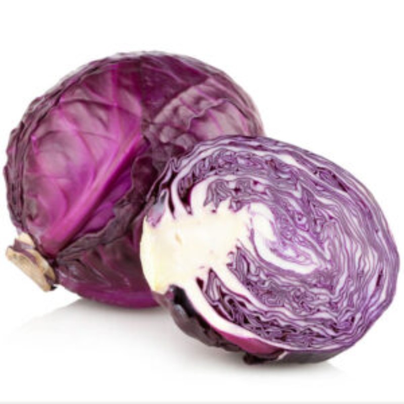 REPOLLO MORADO SEMILLA